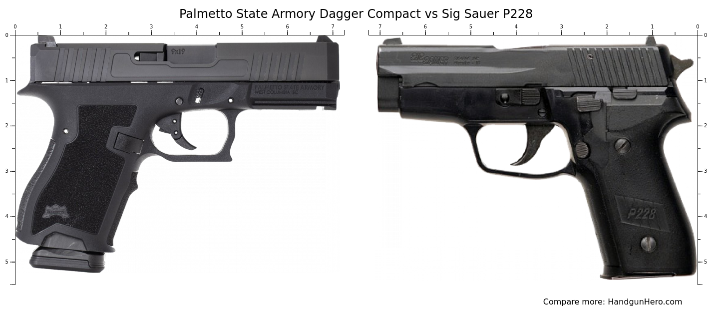 Palmetto State Armory Dagger Compact vs Sig Sauer P228 size comparison ...