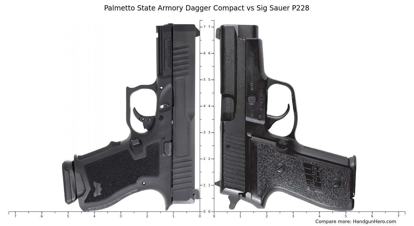 Palmetto State Armory Dagger Compact vs Sig Sauer P228 size comparison ...