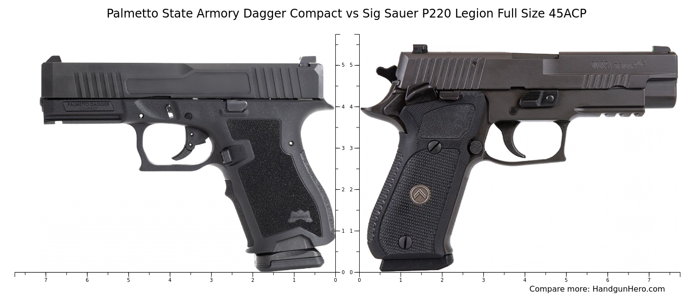 Palmetto State Armory Dagger Compact vs Sig Sauer P220 Legion Full Size ...