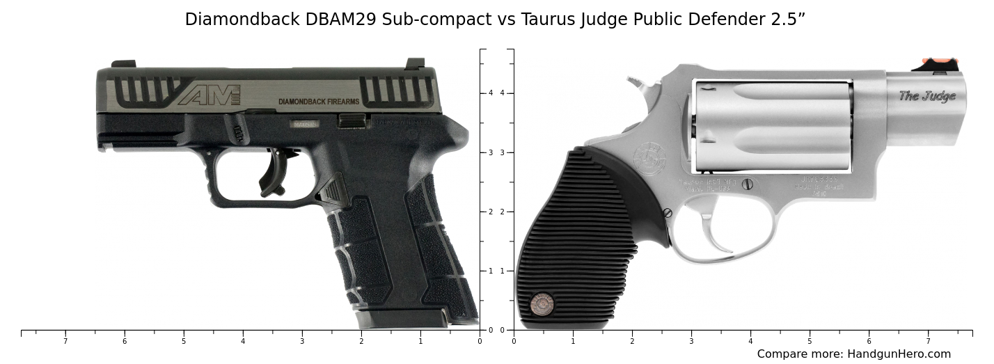 Diamondback DBAM29 Sub-compact vs Taurus Judge Public Defender 2.5 ...
