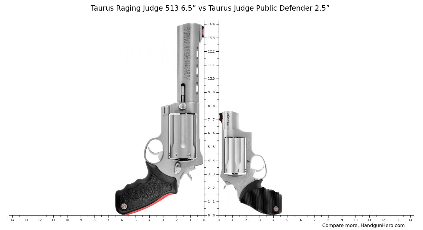 Taurus Raging Judge 513 6.5” vs Taurus Judge Public Defender 2.5” size ...