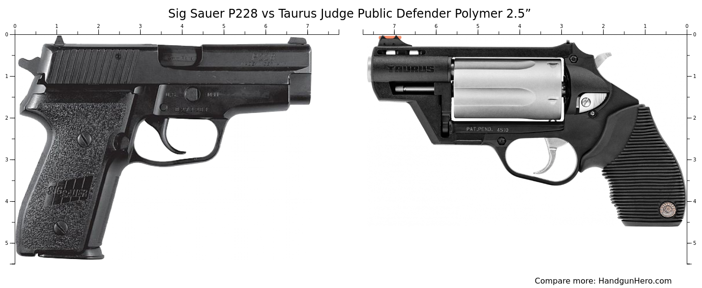 Sig Sauer P228 vs Taurus Judge Public Defender Polymer 2.5” size ...