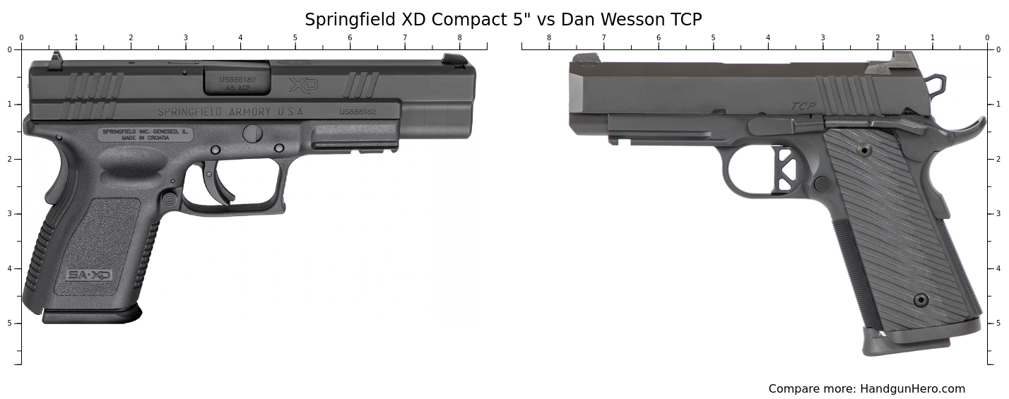 Springfield XD Compact 5" vs Dan Wesson TCP size comparison | Handgun Hero