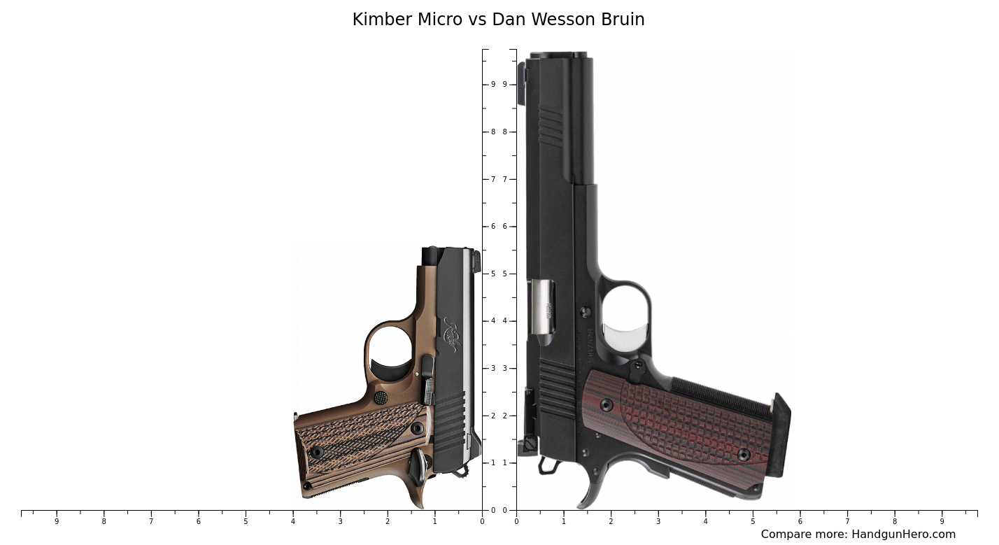 Kimber Micro vs Dan Wesson Bruin size comparison | Handgun Hero