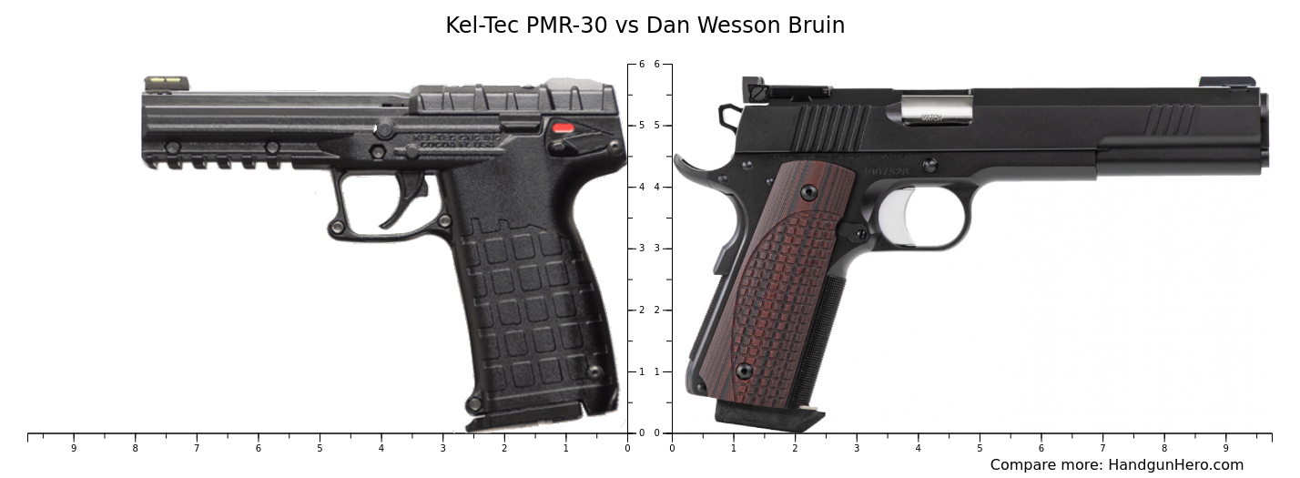 Kel-Tec PMR-30 vs Dan Wesson Bruin size comparison | Handgun Hero