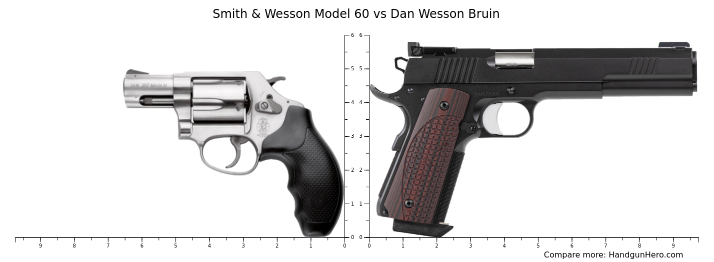 Smith & Wesson Model 60 vs Dan Wesson Bruin size comparison | Handgun Hero