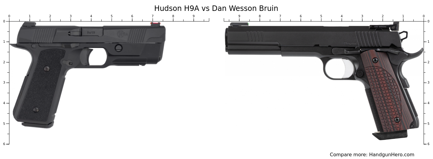 Hudson H9A vs Dan Wesson Bruin size comparison | Handgun Hero