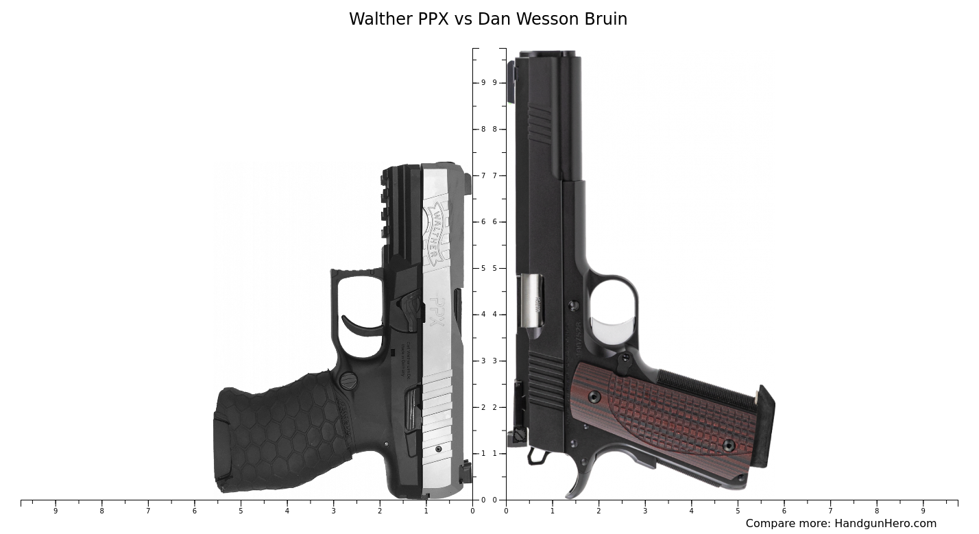 Walther PPX vs Dan Wesson Bruin size comparison | Handgun Hero