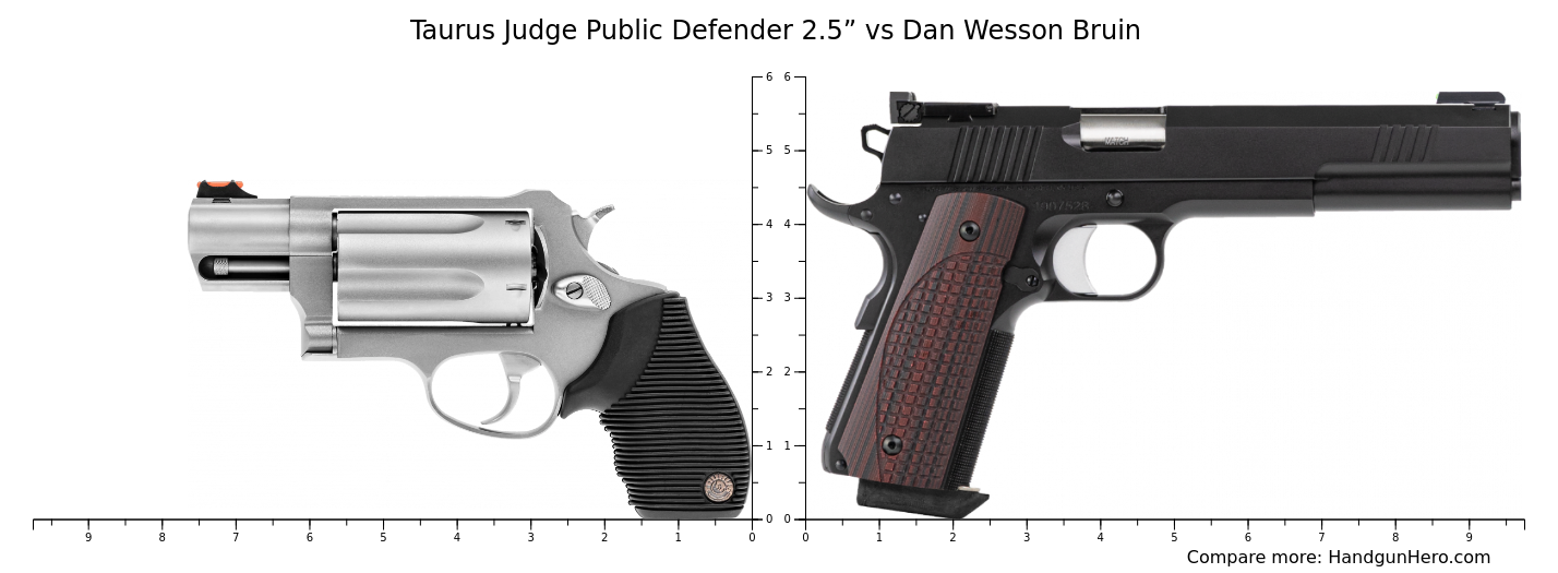 Taurus Judge Public Defender 2.5” vs Dan Wesson Bruin size comparison ...