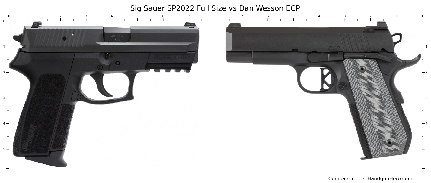 Sig Sauer SP2022 Full Size vs Dan Wesson ECP size comparison | Handgun Hero