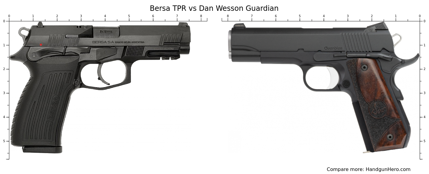 Bersa TPR vs Dan Wesson Guardian size comparison | Handgun Hero