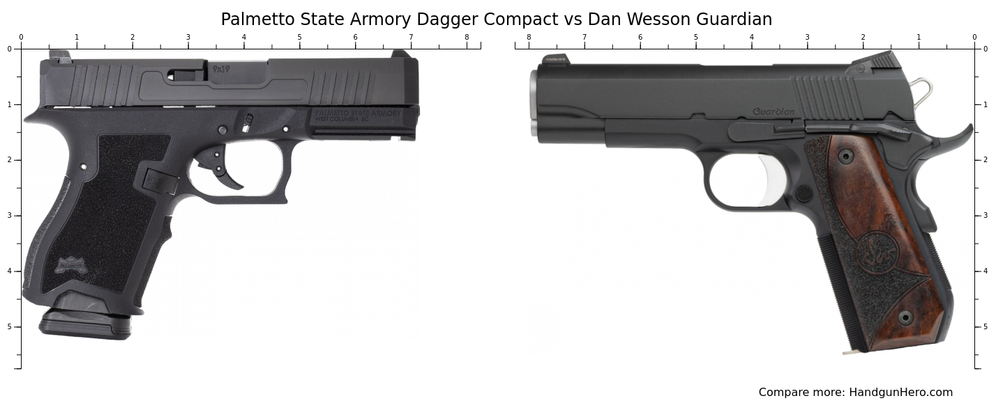 Palmetto State Armory Dagger Compact vs Dan Wesson Guardian size ...