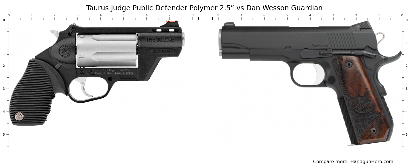 Taurus Judge Public Defender Polymer 2.5” vs Dan Wesson Guardian size ...