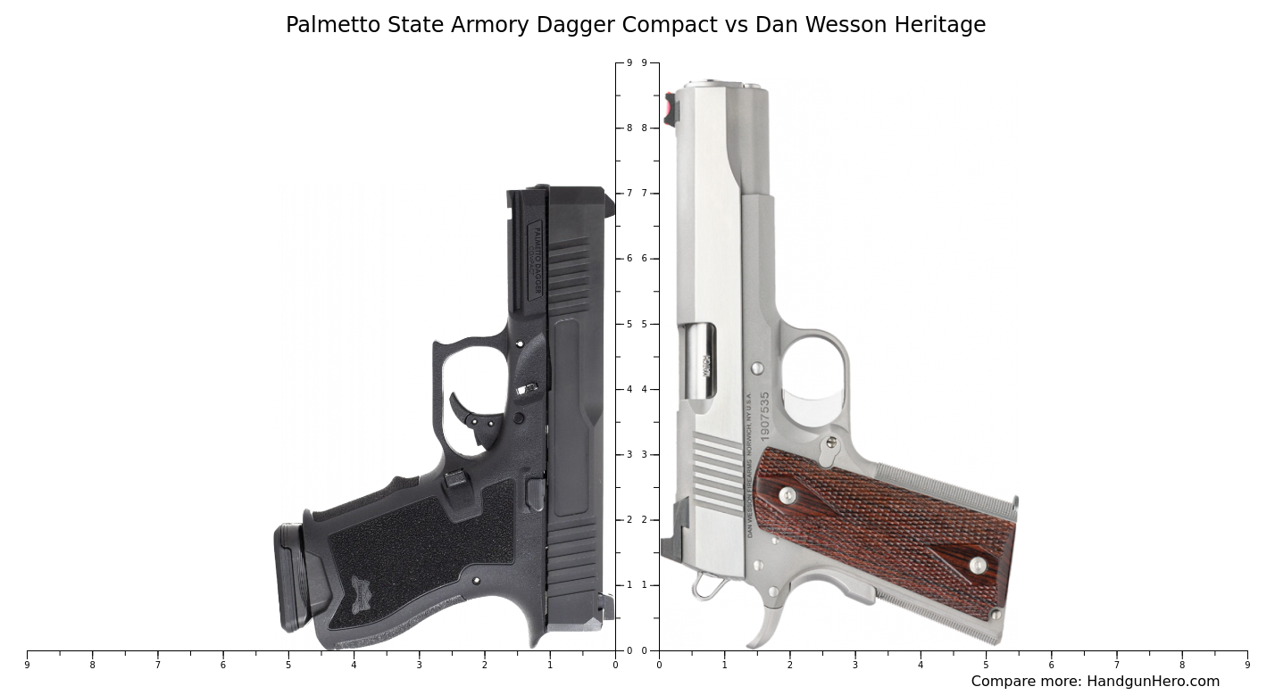 Palmetto State Armory Dagger Compact vs Dan Wesson Heritage size ...