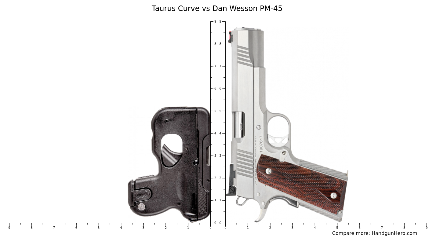 Taurus Curve vs Dan Wesson PM-45 size comparison | Handgun Hero