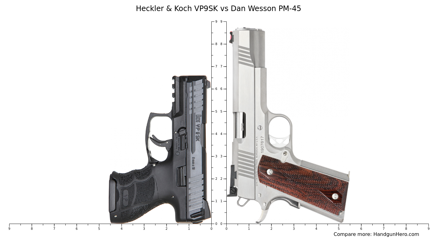 Heckler & Koch VP9SK vs Dan Wesson PM-45 size comparison | Handgun Hero