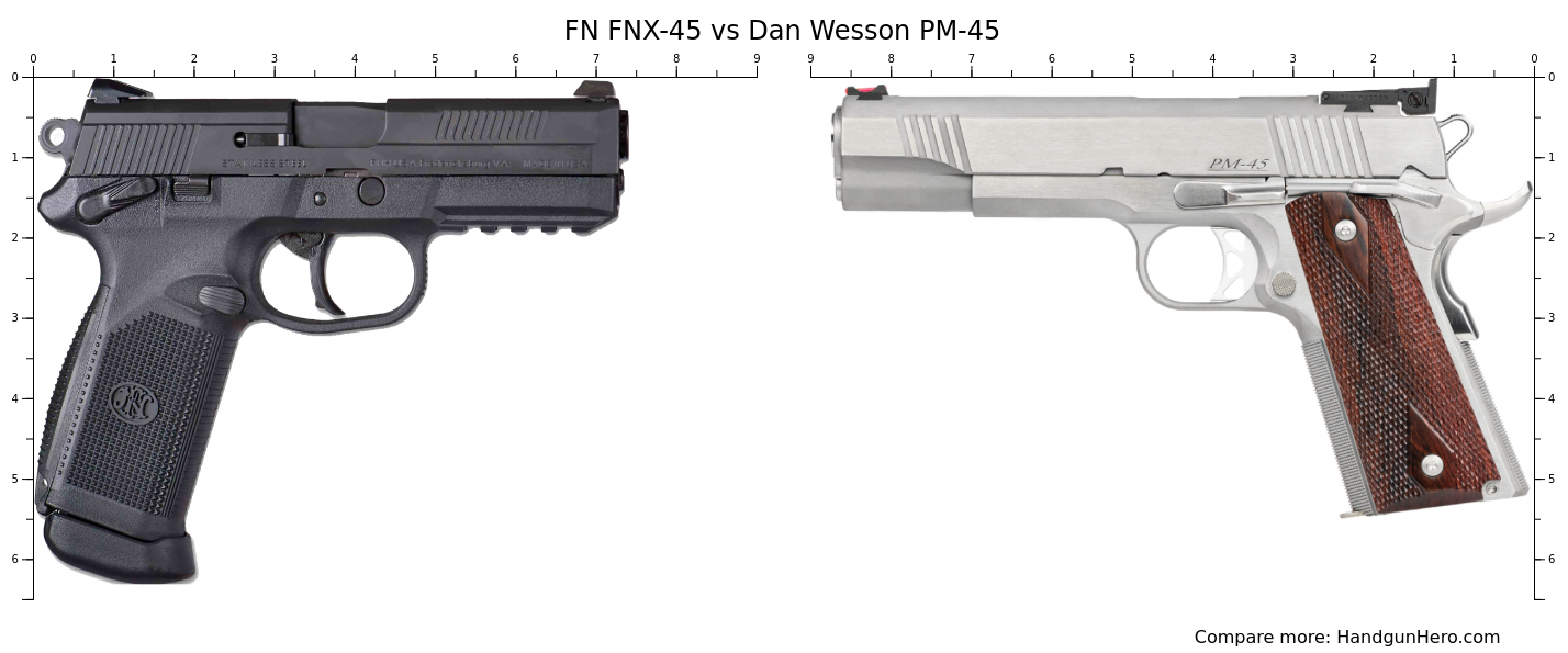FN FNX-45 vs Dan Wesson PM-45 size comparison | Handgun Hero