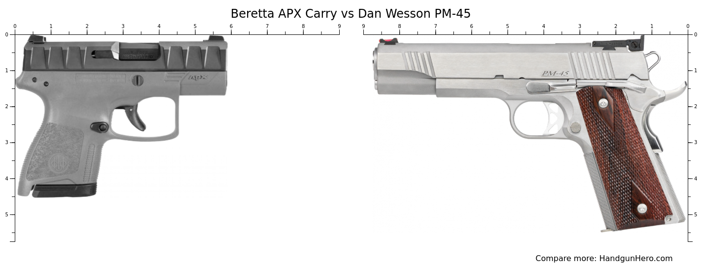 Beretta APX Carry vs Dan Wesson PM-45 size comparison | Handgun Hero