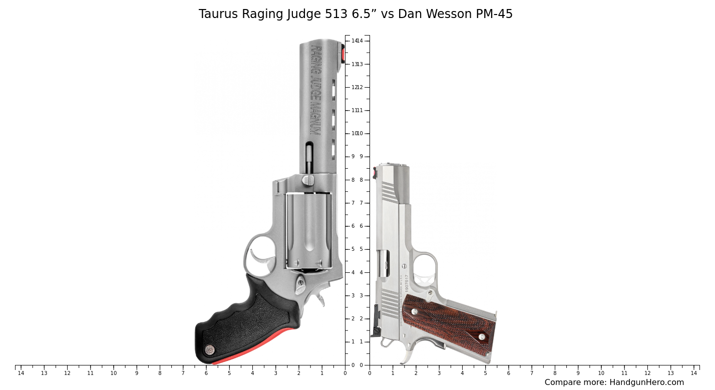 Taurus Raging Judge 513 6.5” vs Dan Wesson PM-45 size comparison ...
