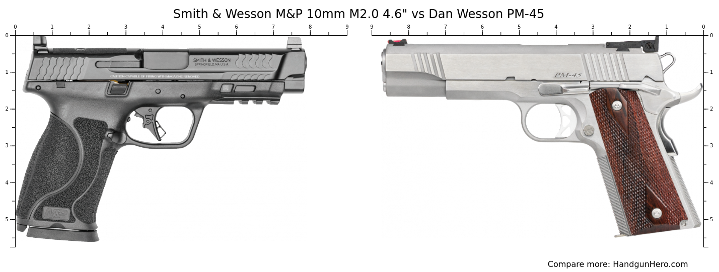Smith & Wesson M&P 10mm M2.0 4.6" vs Dan Wesson PM-45 size comparison ...