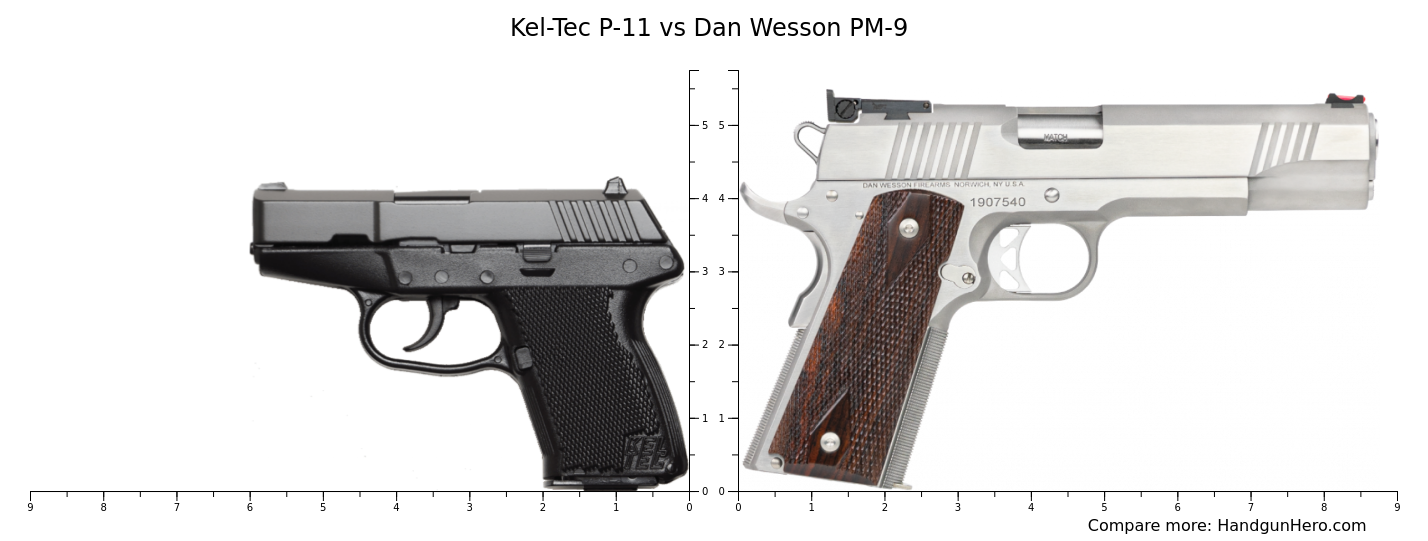 Kel-Tec P-11 vs Dan Wesson PM-9 size comparison | Handgun Hero