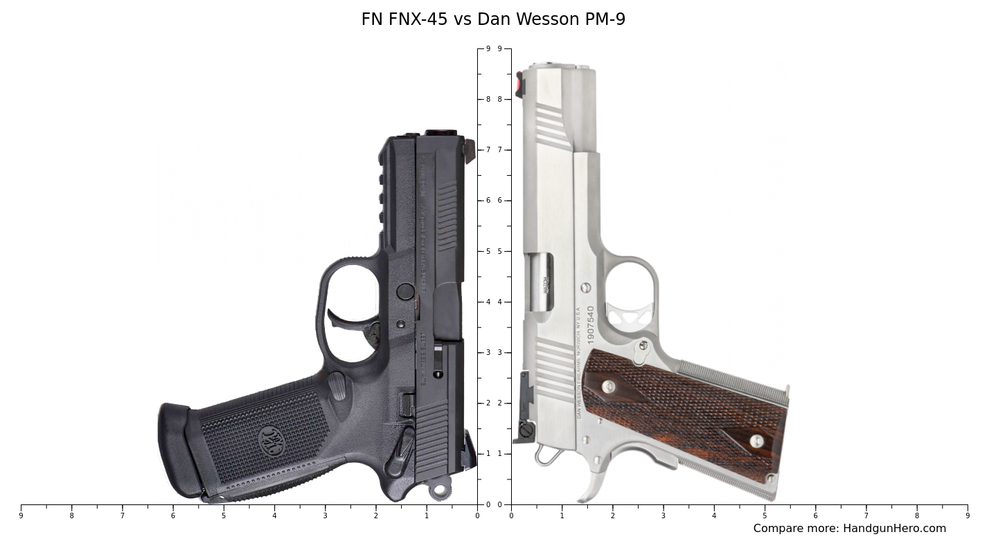 FN FNX-45 vs Dan Wesson PM-9 size comparison | Handgun Hero