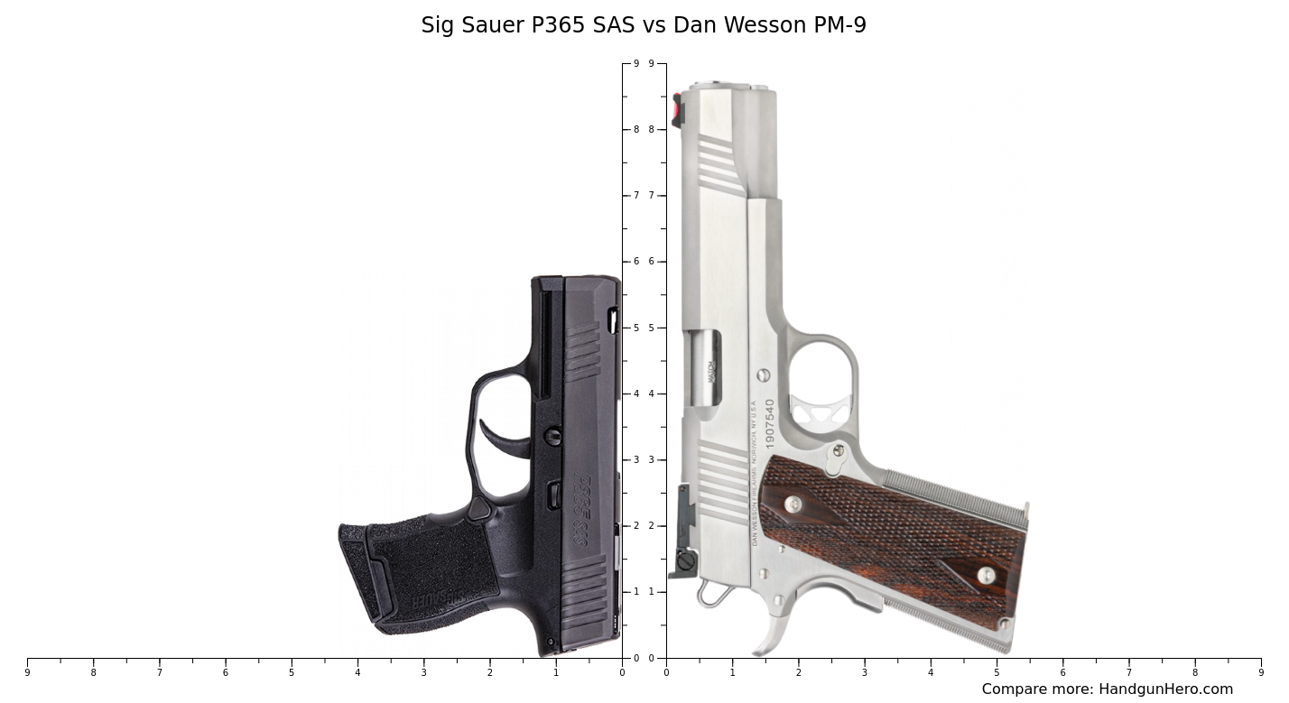 Sig Sauer P365 SAS vs Dan Wesson PM-9 size comparison | Handgun Hero