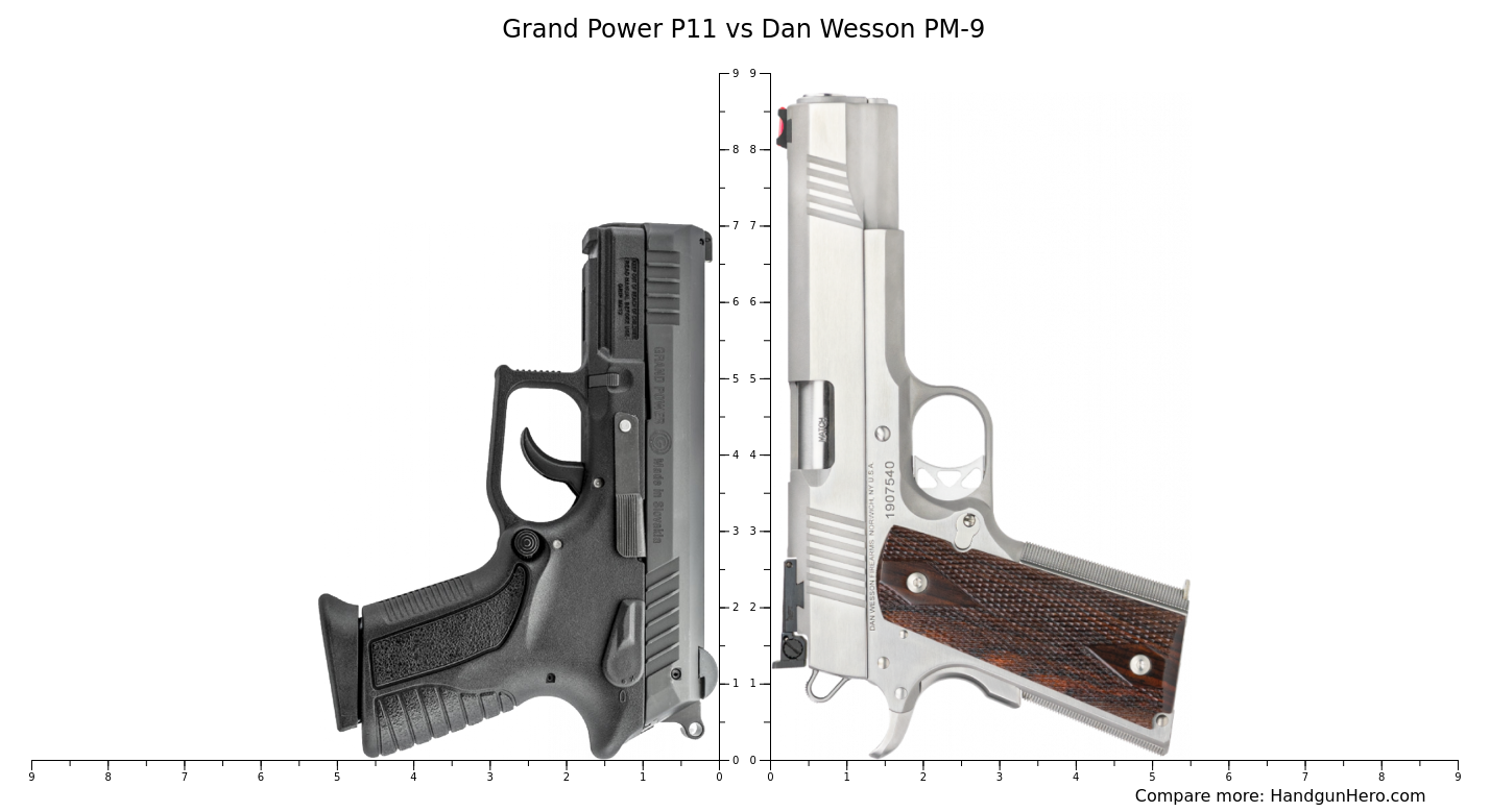 Grand Power P11 vs Dan Wesson PM-9 size comparison | Handgun Hero