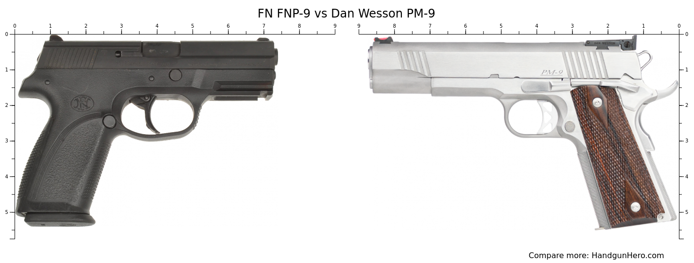 FN FNP-9 vs Dan Wesson PM-9 size comparison | Handgun Hero