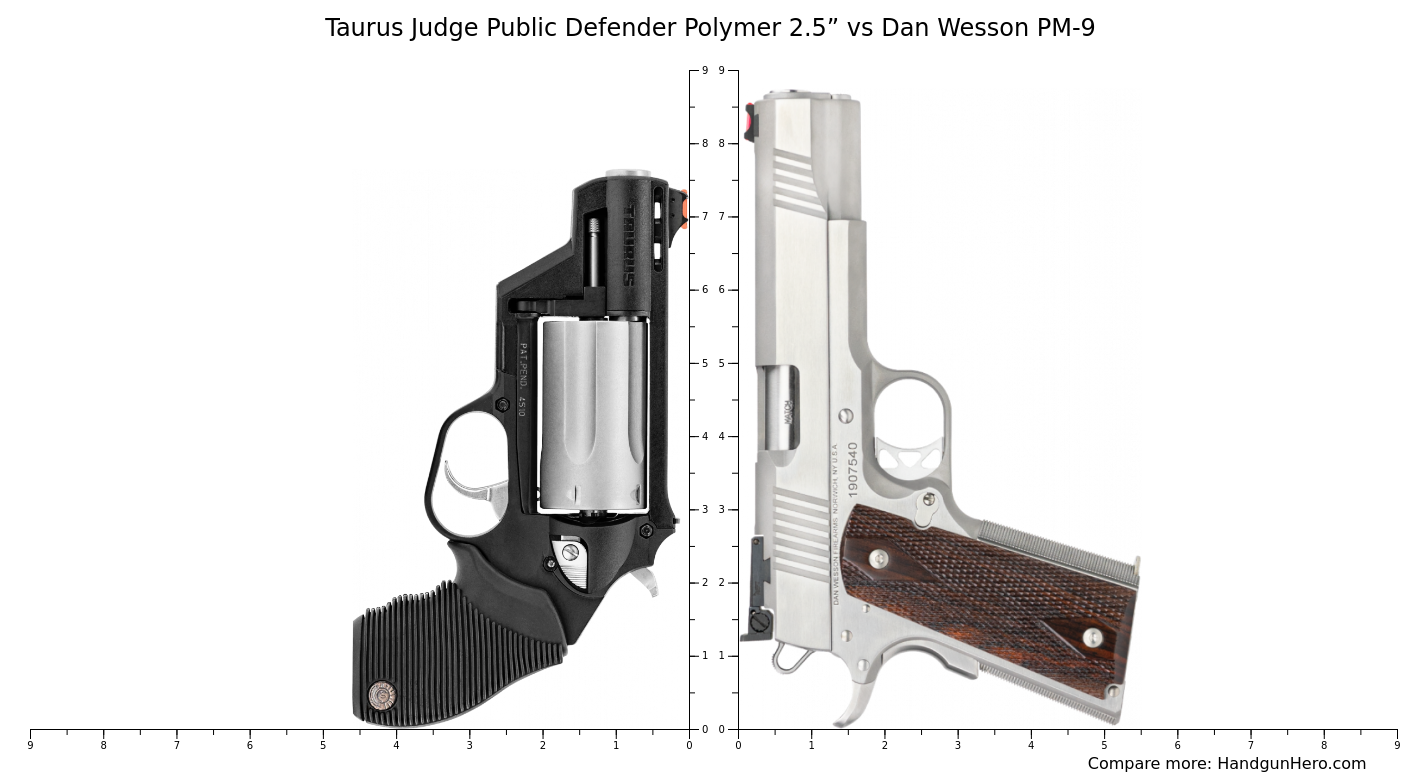 Taurus Judge Public Defender Polymer 2.5” vs Dan Wesson PM-9 size ...