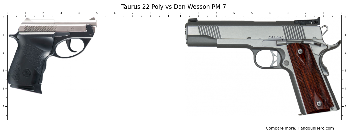 Taurus 22 Poly vs Dan Wesson PM-7 size comparison | Handgun Hero