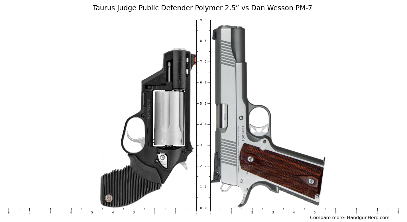 Taurus Judge Public Defender Polymer 2.5” vs Dan Wesson PM-7 size ...