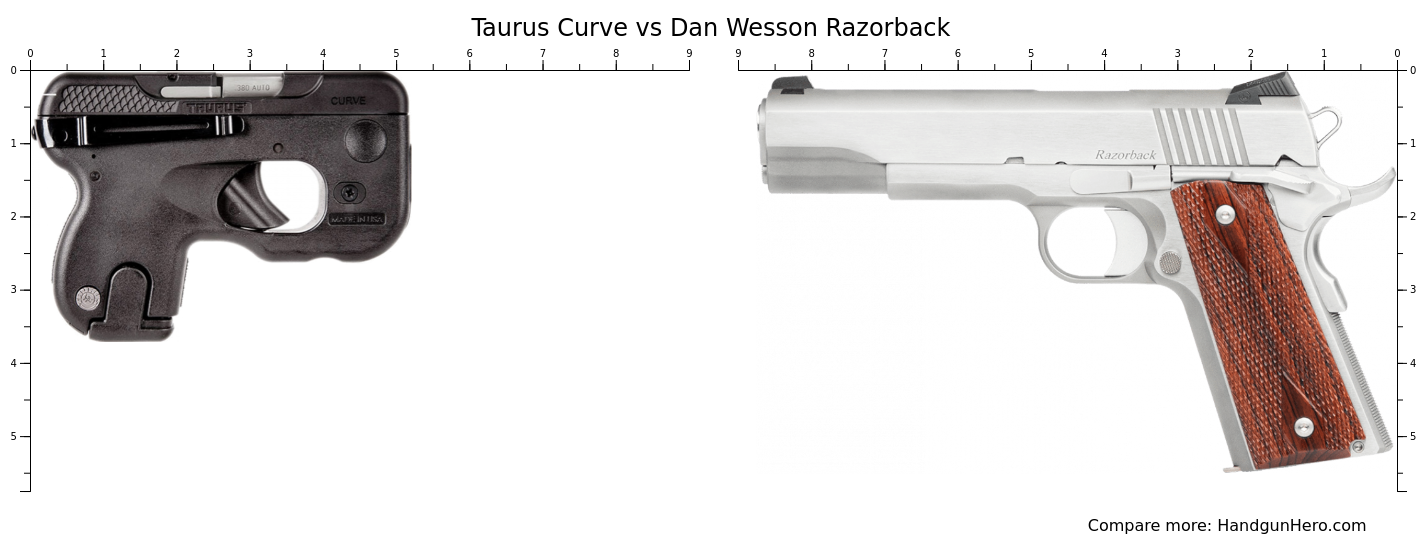 Taurus Curve vs Dan Wesson Razorback size comparison | Handgun Hero