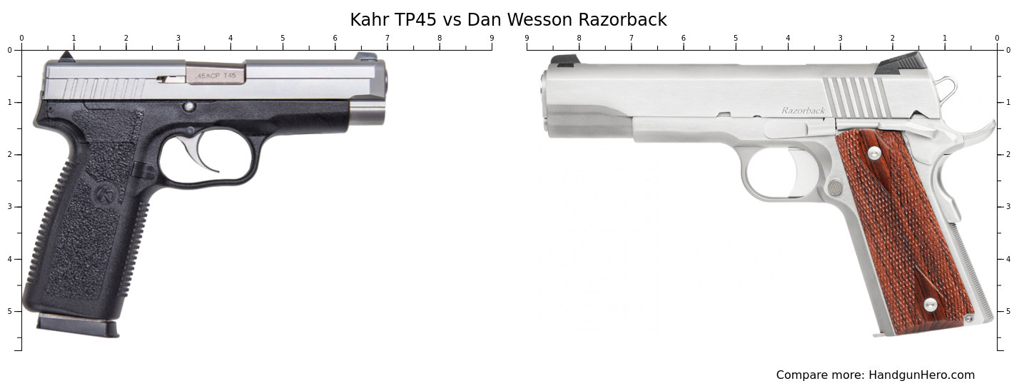 Kahr TP45 vs Dan Wesson Razorback size comparison | Handgun Hero