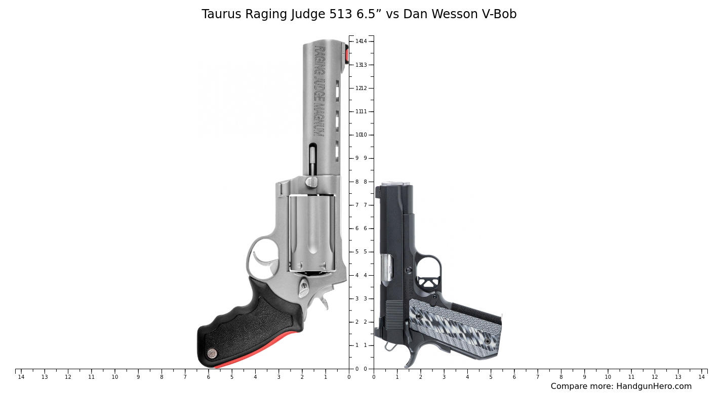 Taurus Raging Judge 513 6.5” vs Dan Wesson V-Bob size comparison ...