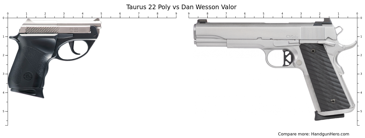 Taurus 22 Poly vs Dan Wesson Valor size comparison | Handgun Hero