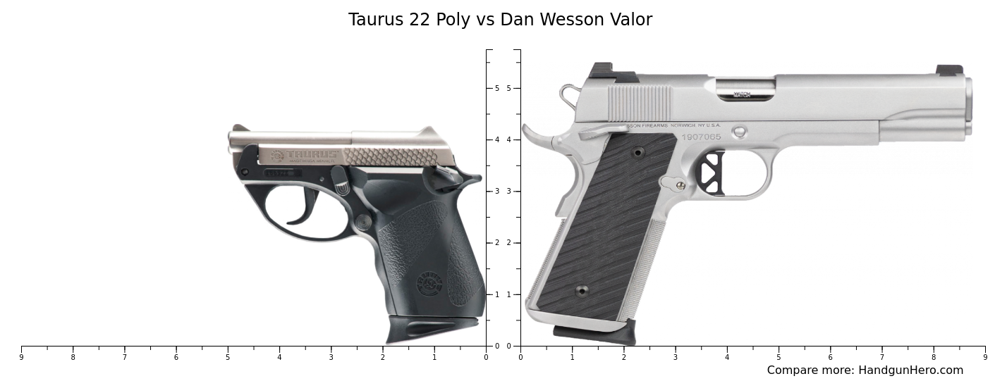 Taurus 22 Poly vs Dan Wesson Valor size comparison | Handgun Hero