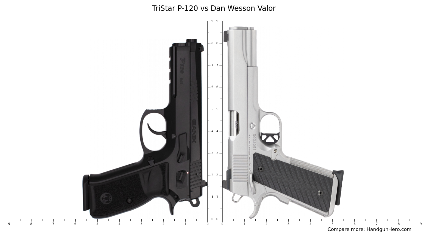 TriStar P-120 vs Dan Wesson Valor size comparison | Handgun Hero