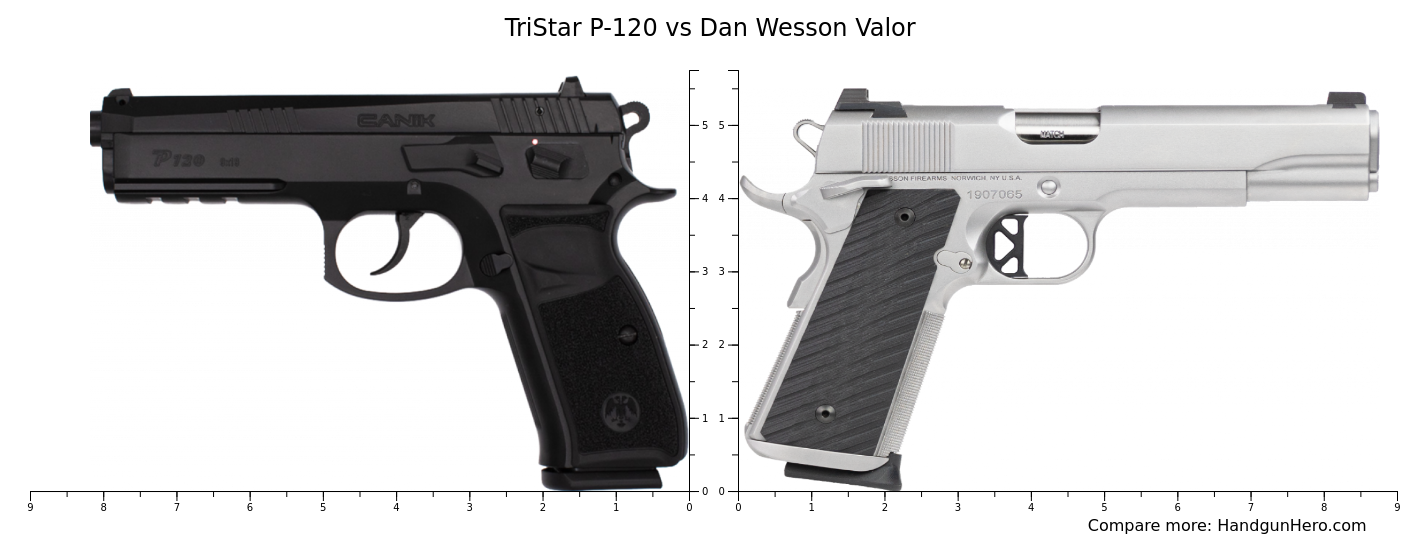 TriStar P-120 vs Dan Wesson Valor size comparison | Handgun Hero