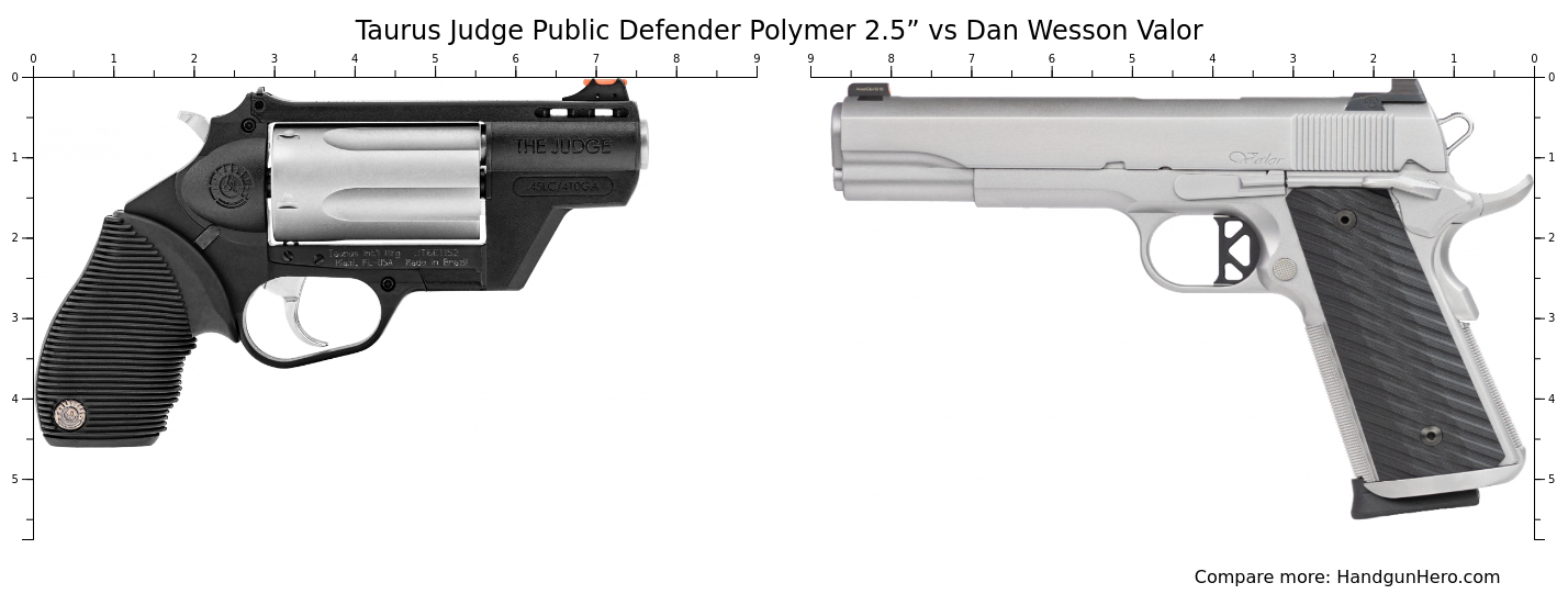 Taurus Judge Public Defender Polymer 2.5” vs Dan Wesson Valor size ...
