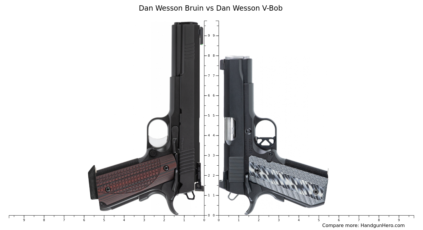Dan Wesson Bruin vs Dan Wesson V-Bob size comparison | Handgun Hero