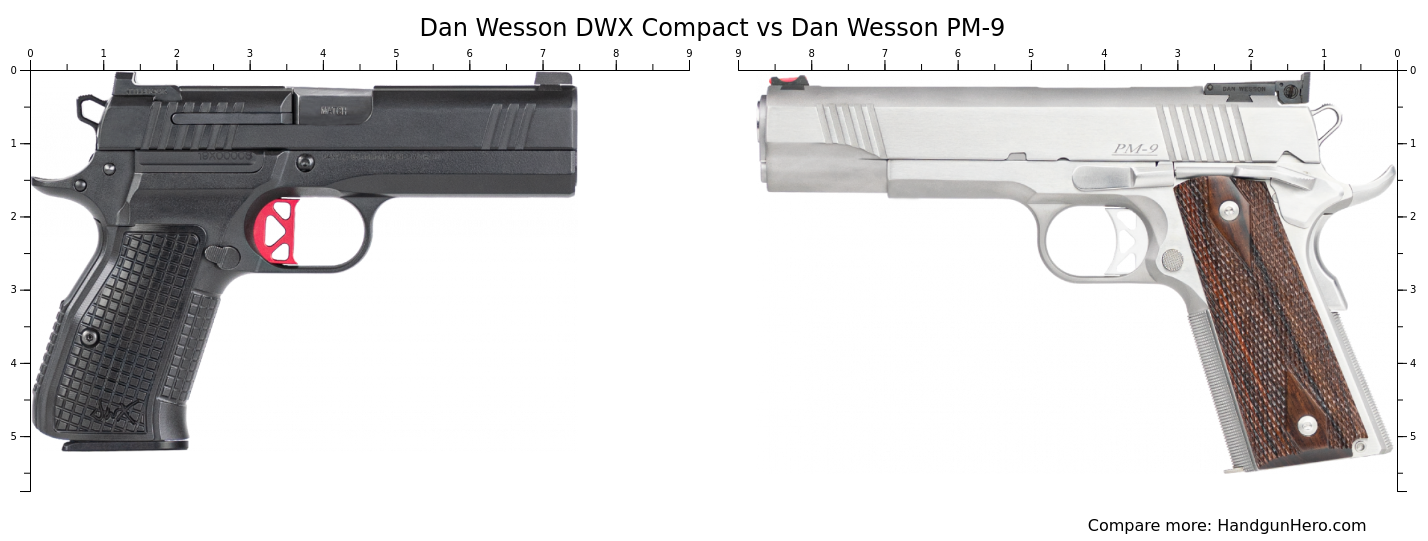 Dan Wesson DWX Compact vs Dan Wesson PM-9 size comparison | Handgun Hero