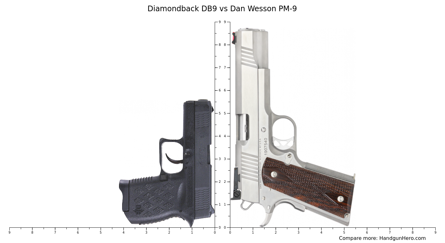 Diamondback DB9 vs Dan Wesson PM-9 size comparison | Handgun Hero