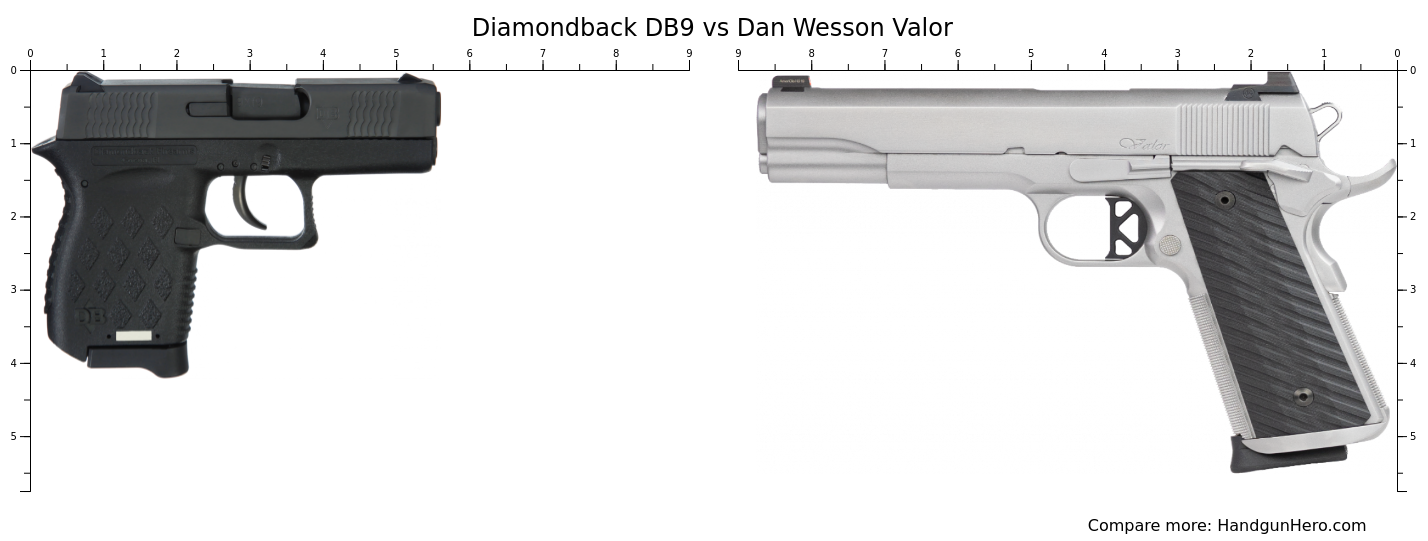 Diamondback DB9 vs Dan Wesson Valor size comparison | Handgun Hero