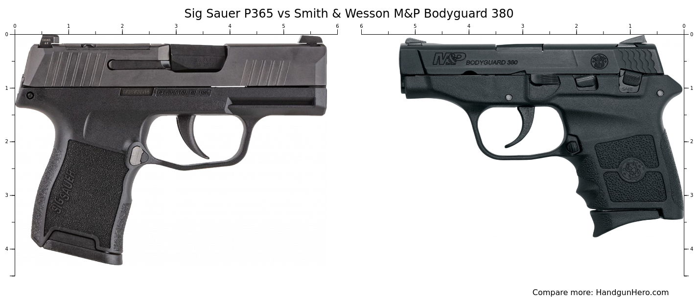 Considering P365 .380 or Ruger LCP Max | Taurus Firearm Forum