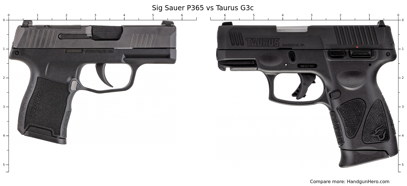 Considering P365 .380 or Ruger LCP Max | Taurus Firearm Forum