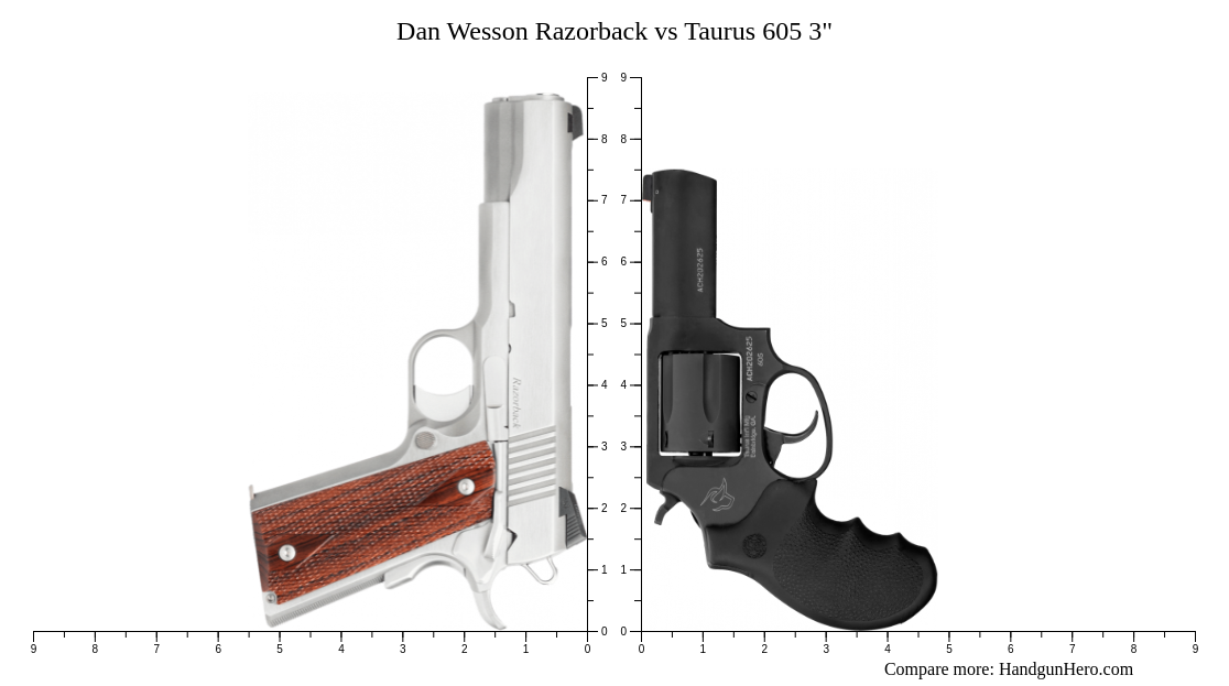 Dan Wesson Razorback vs Taurus 605 3" size comparison | Handgun Hero