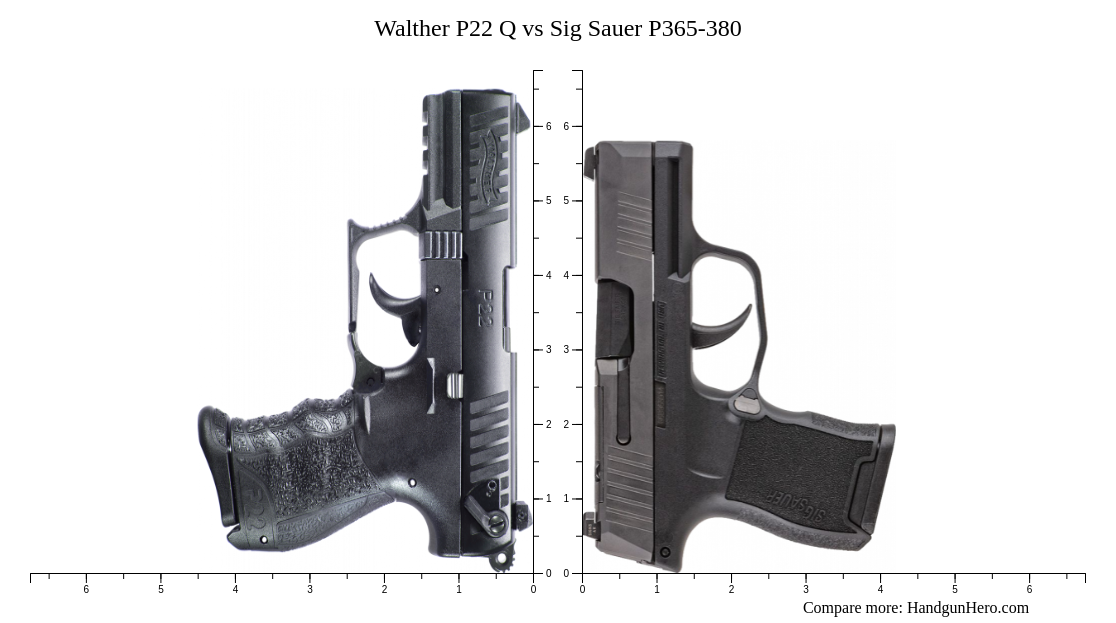 Walther P22 Q vs Sig Sauer P365-380 size comparison | Handgun Hero