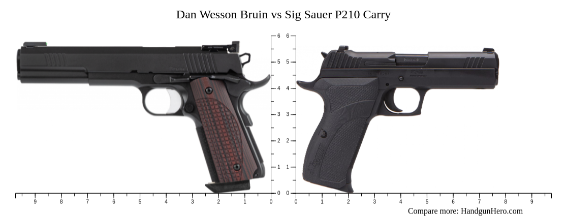 Dan Wesson Bruin vs Sig Sauer P210 Carry size comparison | Handgun Hero