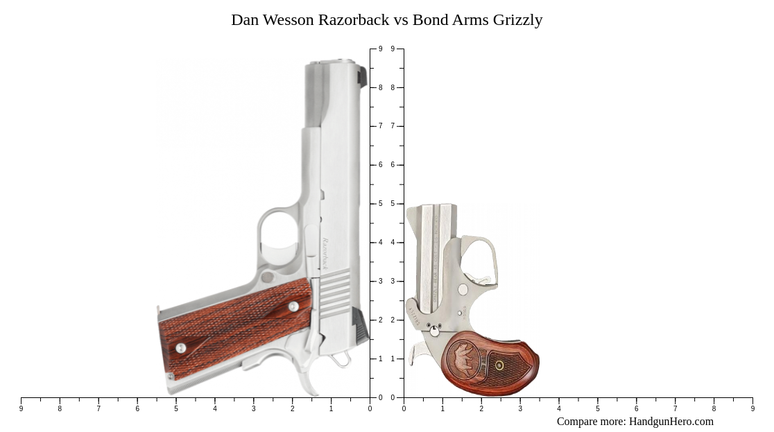 Dan Wesson Razorback vs Bond Arms Grizzly size comparison | Handgun Hero